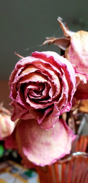 Flores Secas para Decoração: Como fazer e onde decorar?